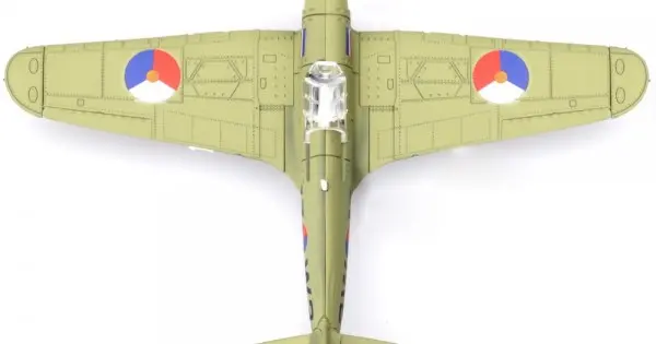 4d model hurricane #4