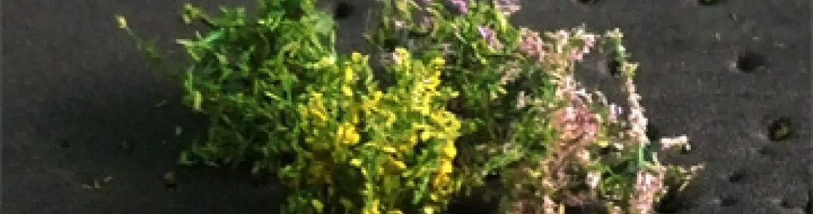 N Gauge Model Railway Scenery